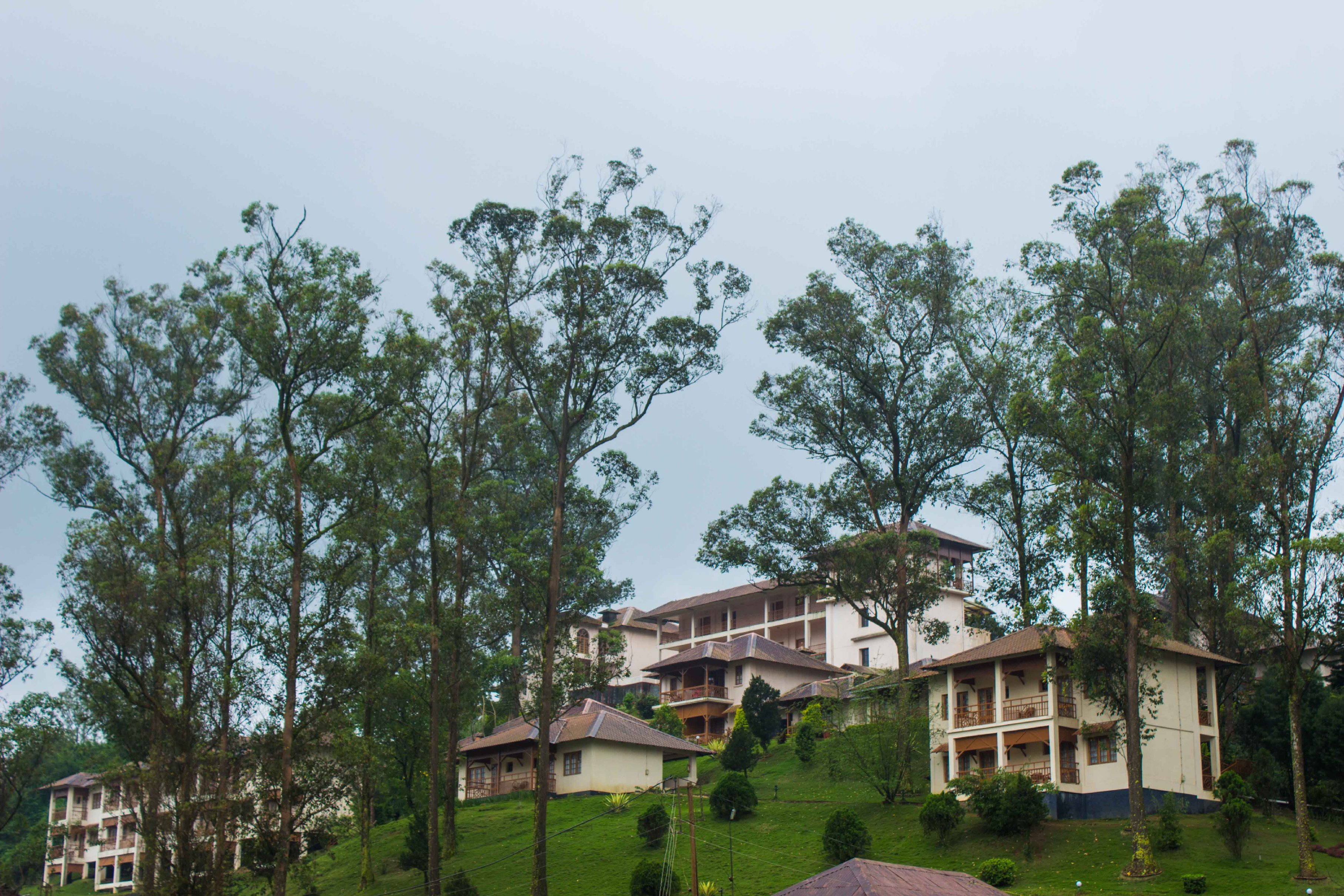 KTDC Tea County Hotel Munnar - Reviews, Photos & Offer