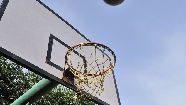 Club Patio Hotel Gurgaon - Reviews, Photos & Offer