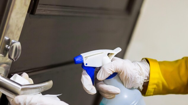 Jolly Panda Goa (Candolim) Hotel Goa - Reviews, Photos & Offer