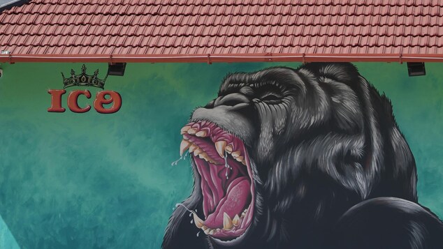 ISIRI FARM RESORT Hotel Coorg - Reviews, Photos & Offer