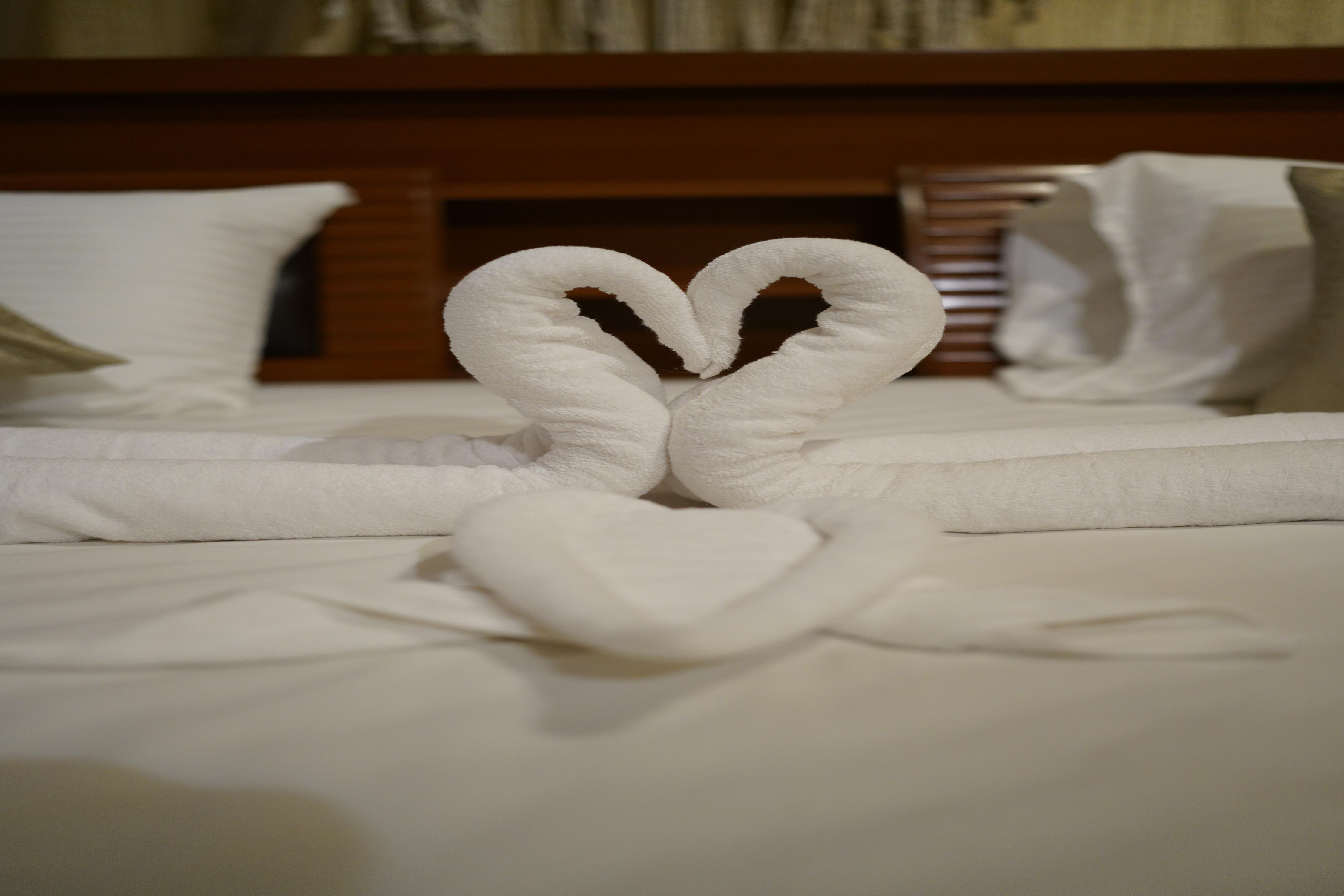 Hasiru Bhoomi Resort Dodaballapur - Reviews, Photos & Offer