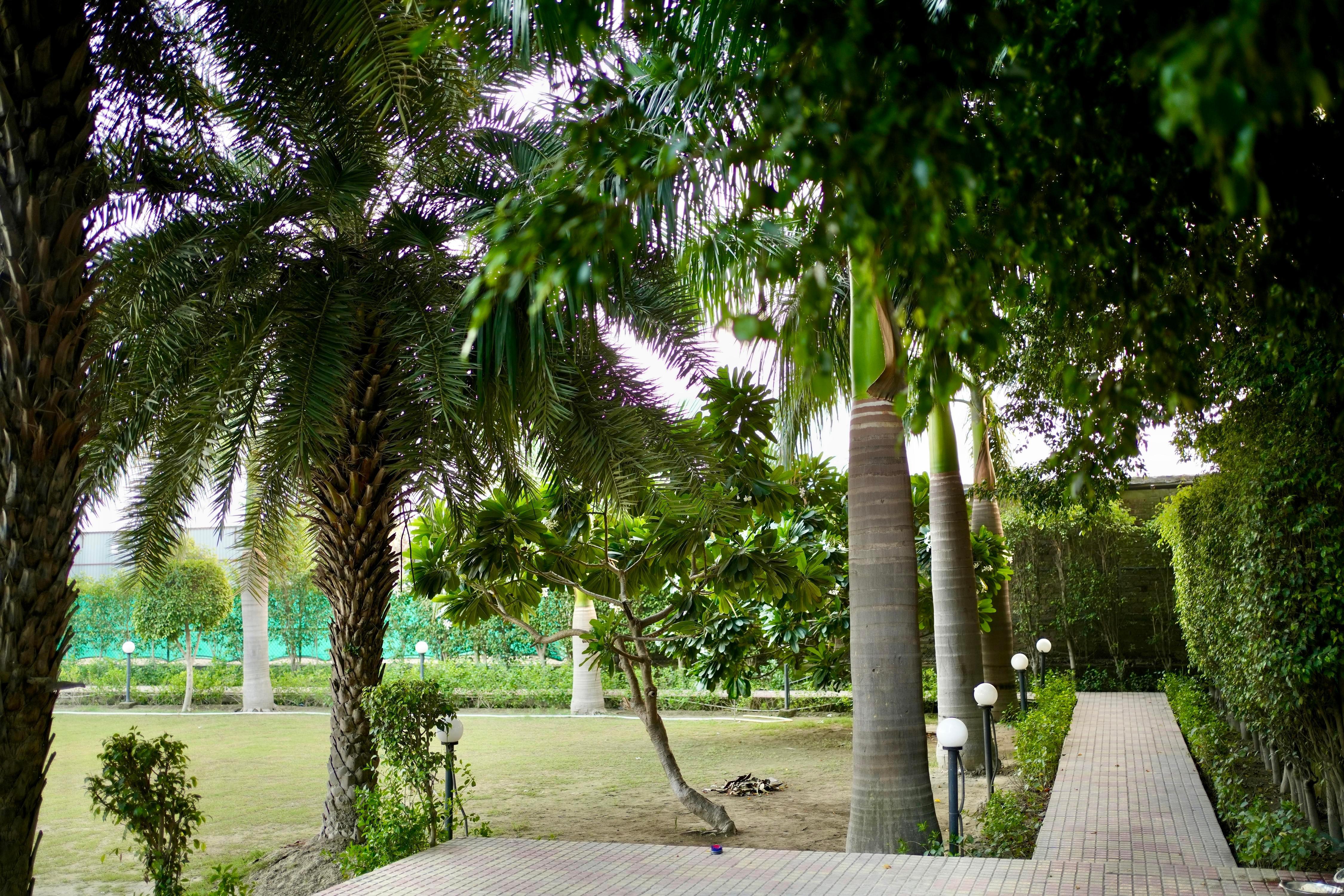 AS LUXE by Blue Heaven Farm Farm House Noida - Reviews, Photos & Offer