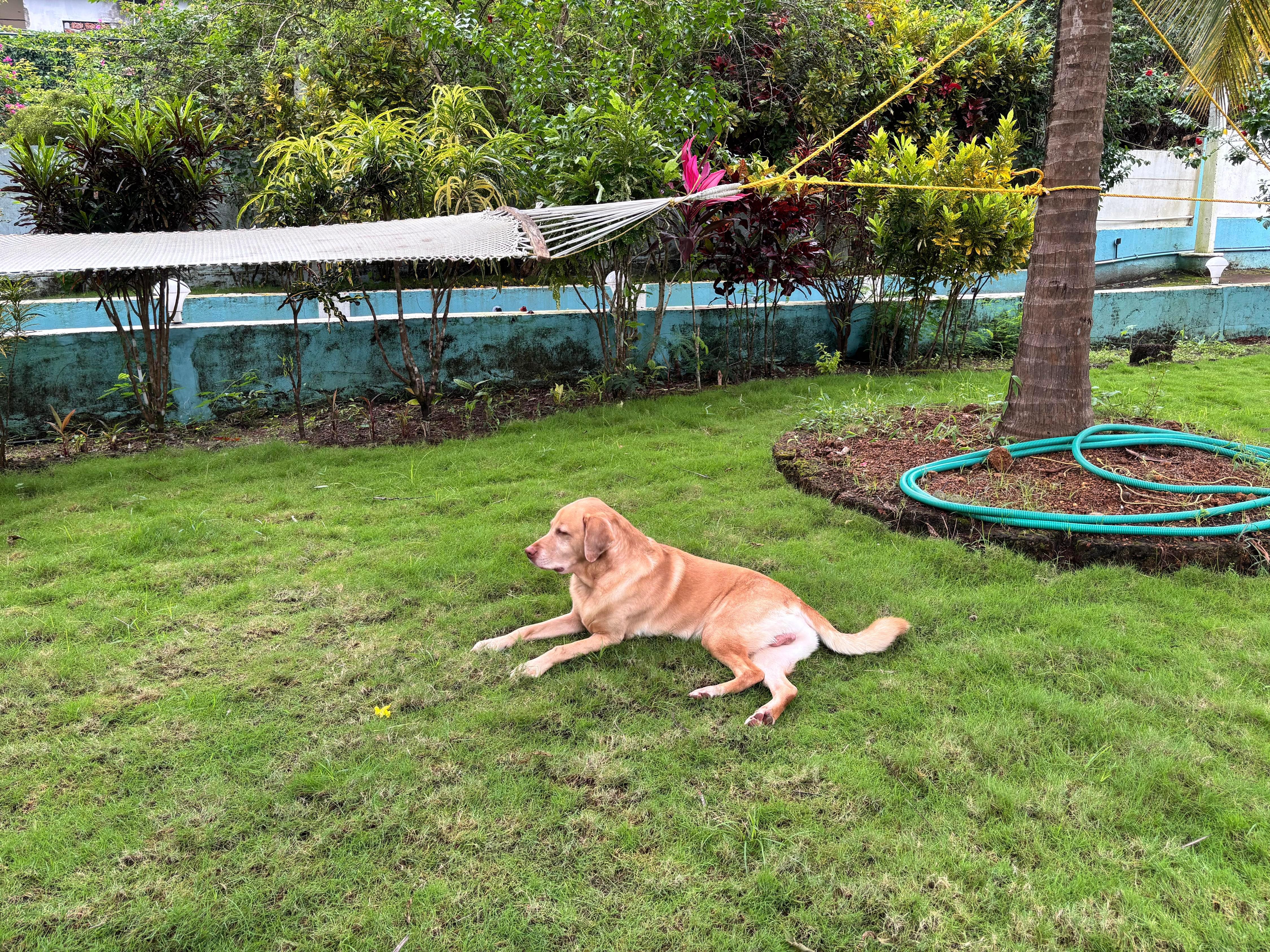 Nivrritii 3BHK Villa with Hill Forest Views Goa - Reviews, Photos & Offer