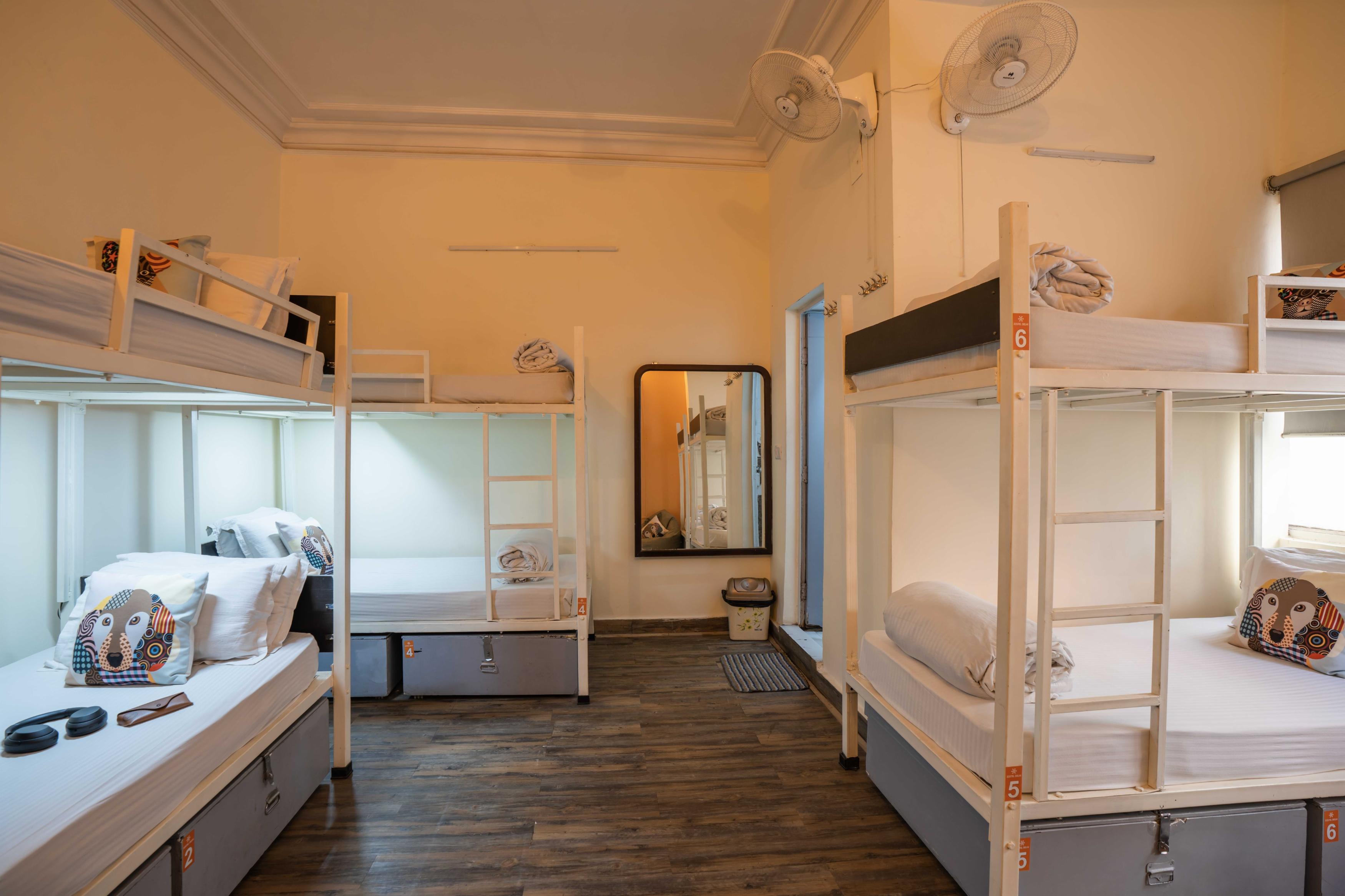 Zostel Delhi Hostel Delhi - Reviews, Photos & Offer